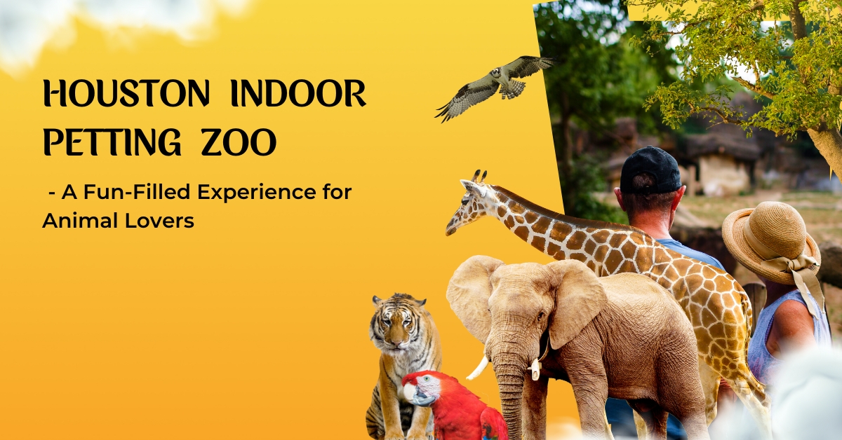 Houston Indoor Petting Zoo - A Fun-Filled Experience for Animal Lovers ...